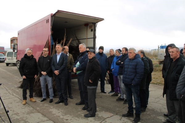 Gjilani shpërndan fidane të arrës për 22 fermerë për ngritjen e 15 ...